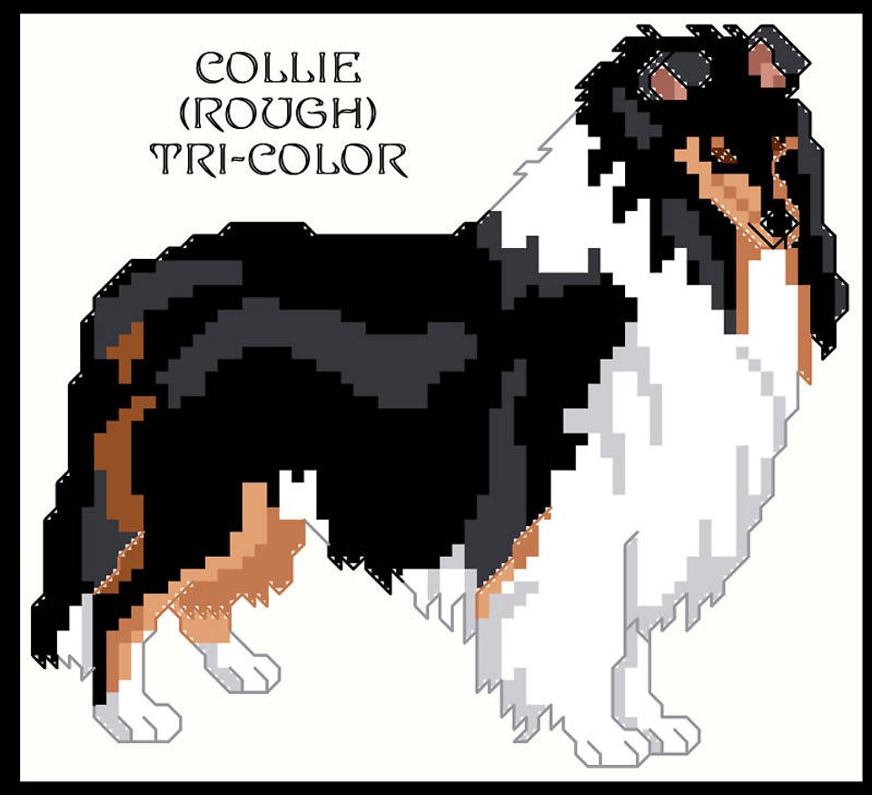 COLLIE, BEARDED & BORDER COUNTED CROSS STITCH PATTERNS | eBay