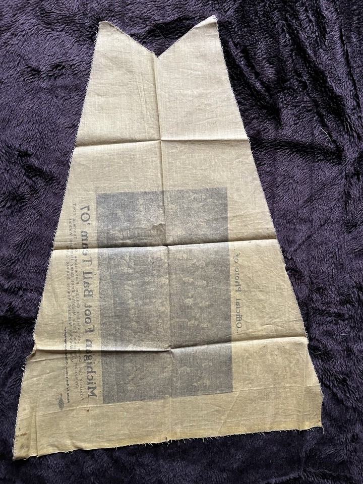 1907 Michigan Wolverines Football Team by Agnes F. Vandome Pennant ...