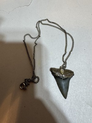 MEGALODON shark tooth necklace 1 3/4" fossil jaw BIG sharks teeth ...