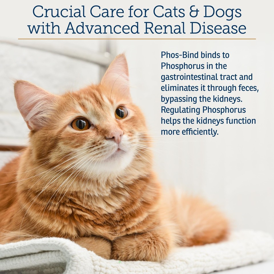 Phos-Bind - Kidney Support Supplement Powder - Phosphate Binder for ...