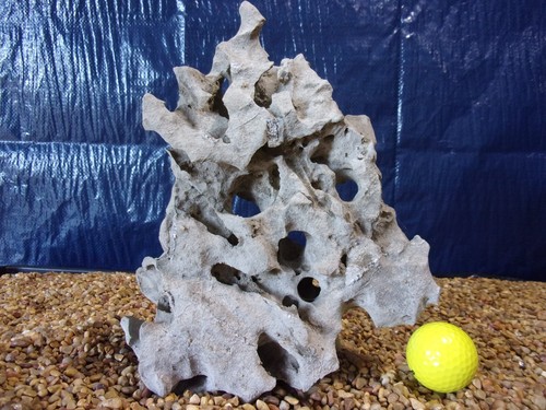 20# Texas/TN Holey Rock Aquarium Reptile Honeycomb Limestone (4-Rock ...