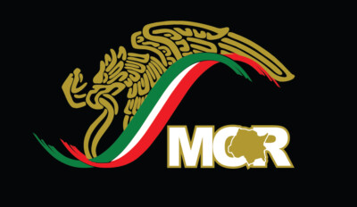 Morelos Aguila Decal Mexican logo Car Window Vinyl Sticker Decal Mex ...