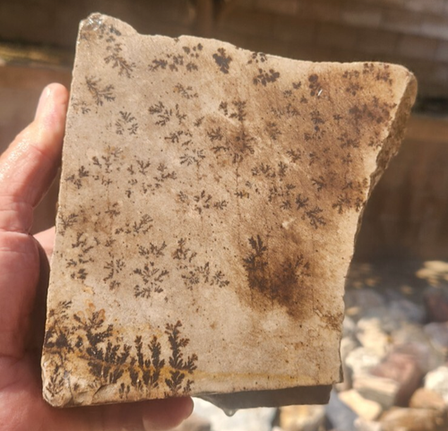 Manganese Oxide Dendrites Beautiful Specimen Rock 6"X5"X2" 5.2 Pounds ...