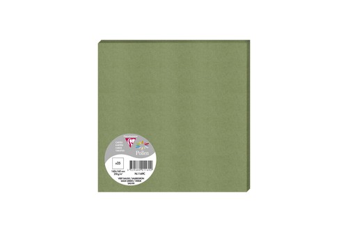 1169C - Un Paquet de 25 Cartes Simples - Format Carré 16x16cm - 210g ...