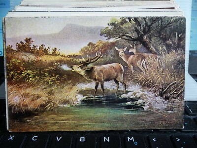 SW01 B1 080 - Postcard - Hunting Stalking - Deer - Un-used | eBay UK