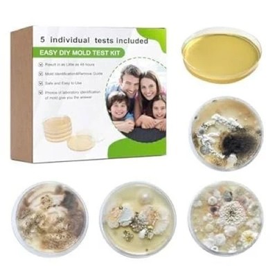 (5 Test Box) Mold Test Kit for Home Diy Detector at Home - New | eBay