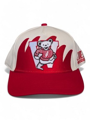 NEW University of Wisconsin Grateful Dead Bucky Bear Shark Tooth Hat ...