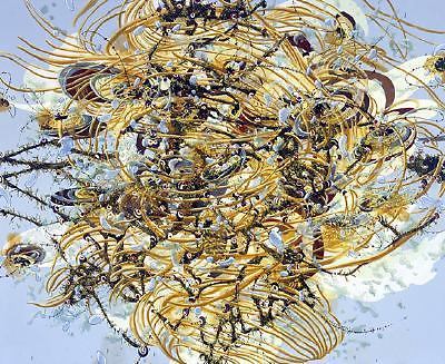 Matthew Ritchie : Proposition Player by Matthew Ritchie (2004, Trade ...