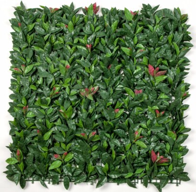 Photinia (Red Robin) Leaf Screens / Panels UV Stabilised 1m X 1m | eBay ...
