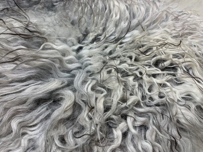 Natural Curly Gray Sheepskin Fur Rug Pelt Seat Hide Pet Dog Cat Gift ...