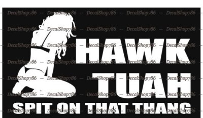 HAWK TUAH - Funny Express - JDM Cars Vinyl Die-Cut Peel N' Stick Decals ...