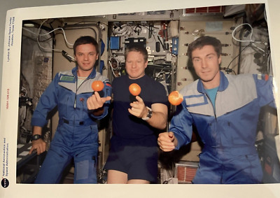 nasa red number photo ISS01-328-015 | eBay