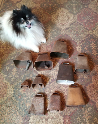 Antique Cow Bells Vintage Assorted Primitive Cowbells Small Medium ...