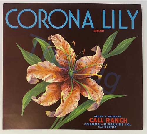 Corona Lily Brand Tiger Lily Fruit Crate Label Original Riverside ...