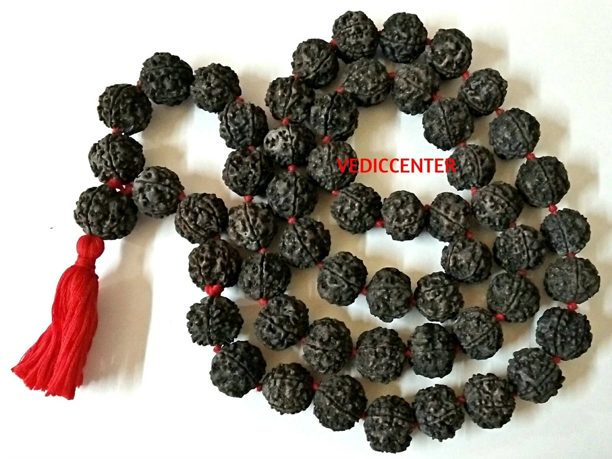 Rare Rudraksha Mala