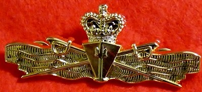 RAN - Principal Warfare Officer (PWO) Original Qualification Badge ...
