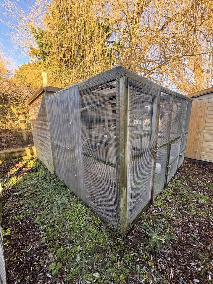 Bird Aviary & Shed 10ft x 6ft Includes All Cages and Accessories | eBay UK