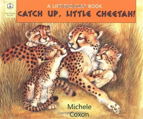 Catch up, Little Cheetah : A Lift-the-Flap Book by Michele Coxon (1999 ...