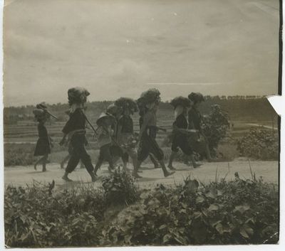 FIELD/PLANTATION WORKERS WALKING DOWN DIRT ROAD W/ SACKS ON HEAD ...