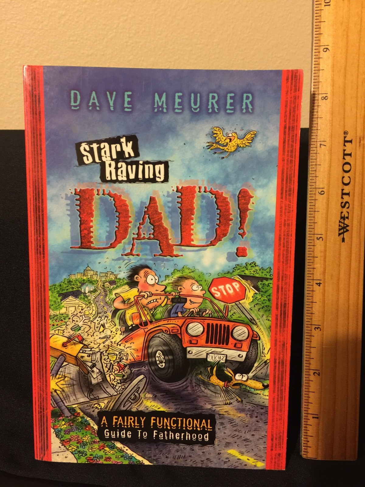 Stark Raving Dad Guide To Fatherhood Book | eBay