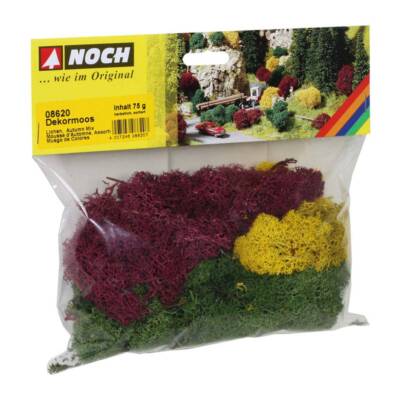 HO Lichen Autumn Mix 75g | eBay Australia