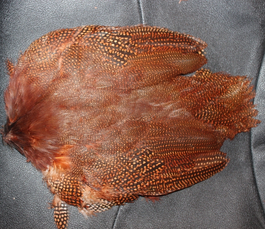 Guinea Fowl Fly Tying Feathers complete skin | eBay UK