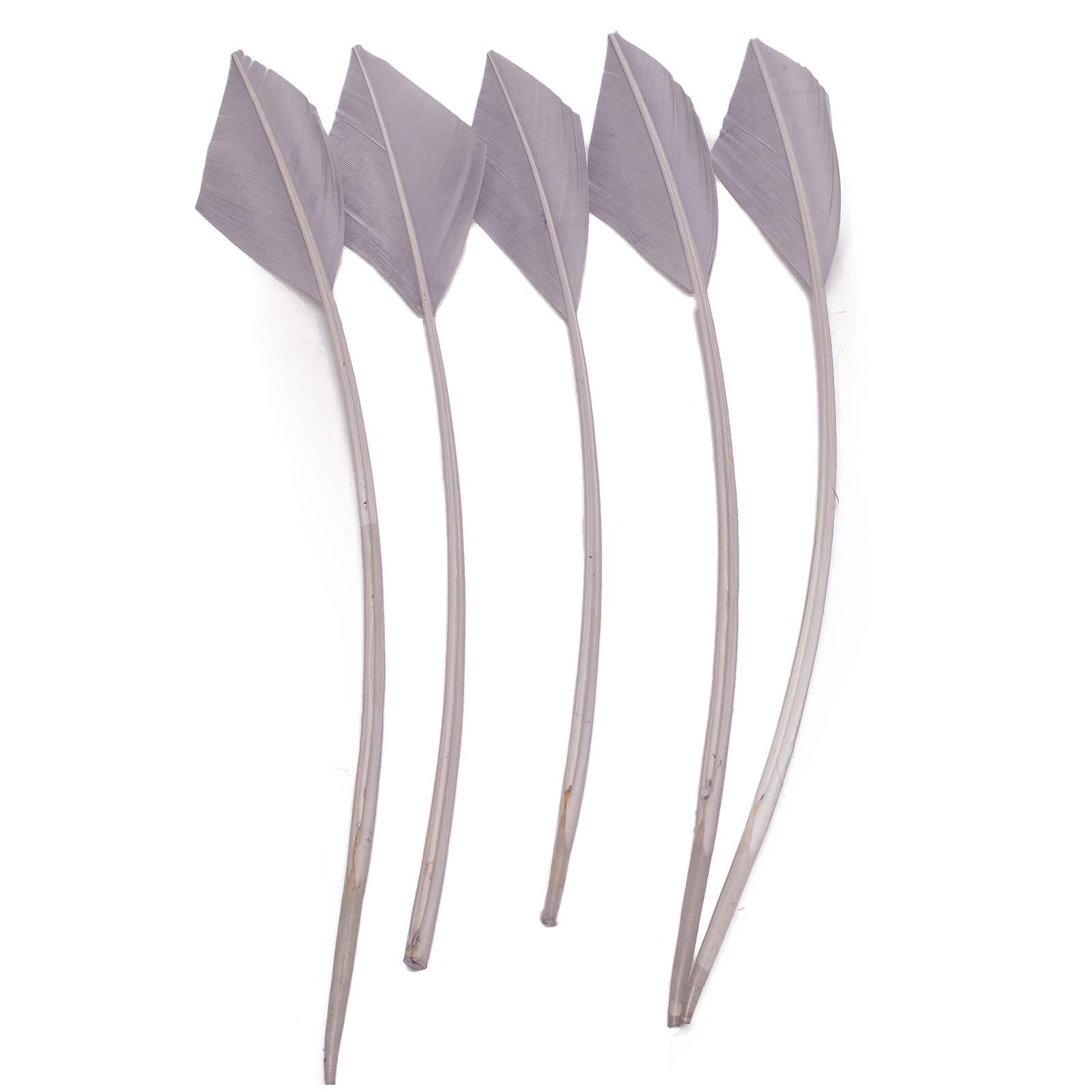 5pcs Arrowhead Turkey Quill Feather singles Millinery Hats Fascinator ...