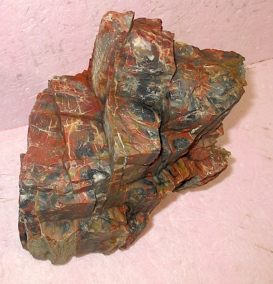 PETRIFIED WOOD Tree Trunk Fossil 17 lb Magnificent RAINBOW Coloration ...