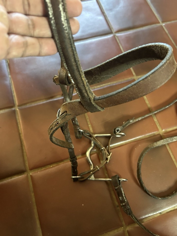 Western horse Tack Set With Headstall/Bridle, Bit, And Reins | eBay