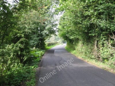 Photo 6x4 Road adjacent Binchester Plantation Binchester Blocks c2010 ...