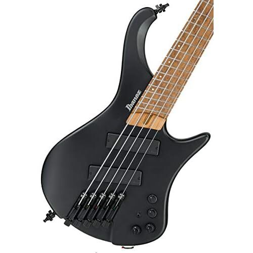 Ibanez EHB1005 MS Black Flat Headless 5 String Electric Bass Multi ...
