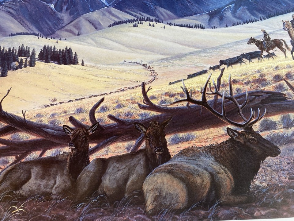 Larry Zabel "Common Ground" Bull Elk Signed Lithograph LE500 Fine Art ...