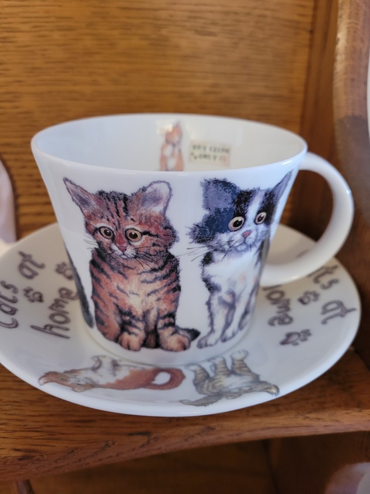 Roy Kirkham Animal Fashions Cats at Home-Cup & Saucer Set Bone China ...