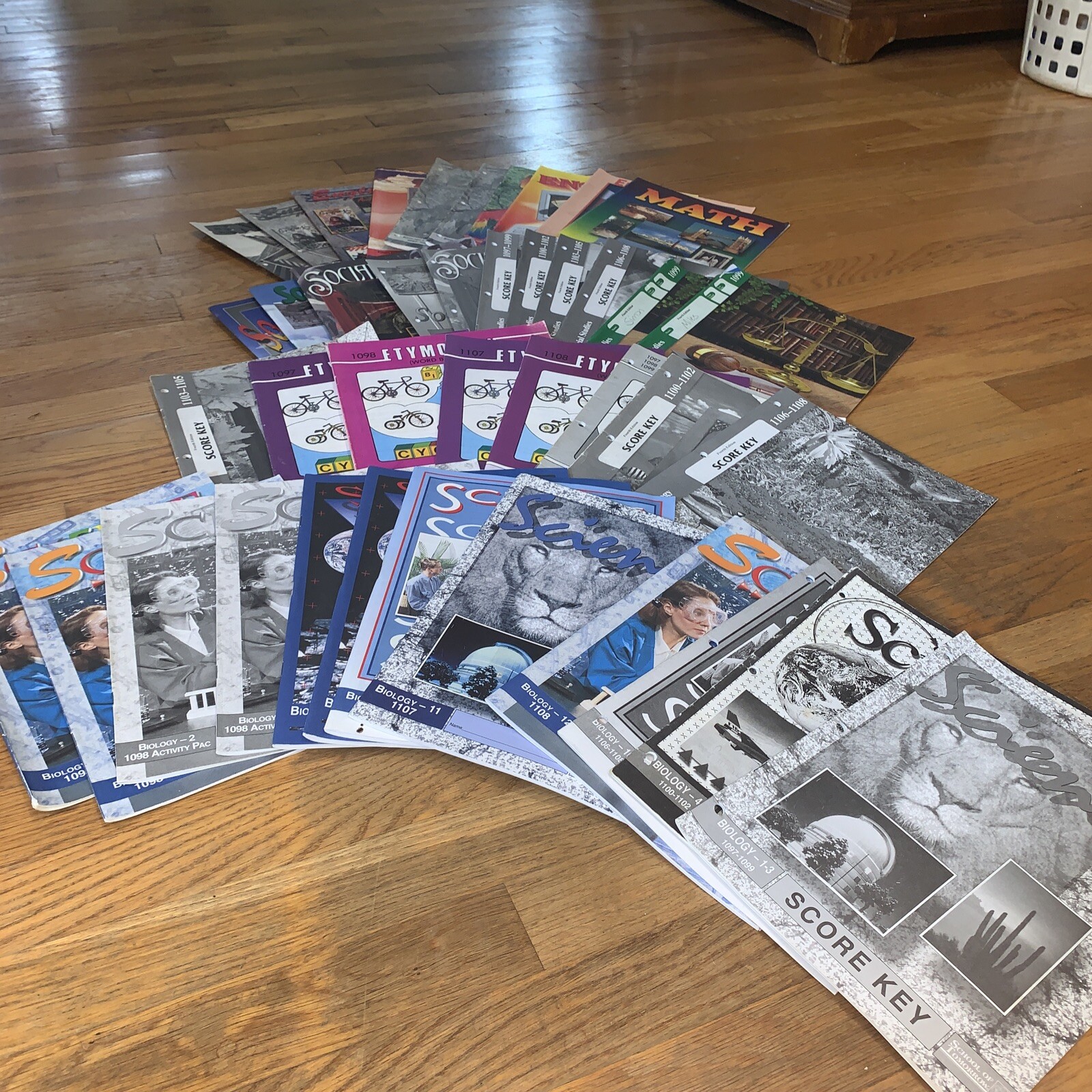 ACE Math Homeschool PACES Grade 9- HUGE 39 Book Lot-School Of Tomorrow ...