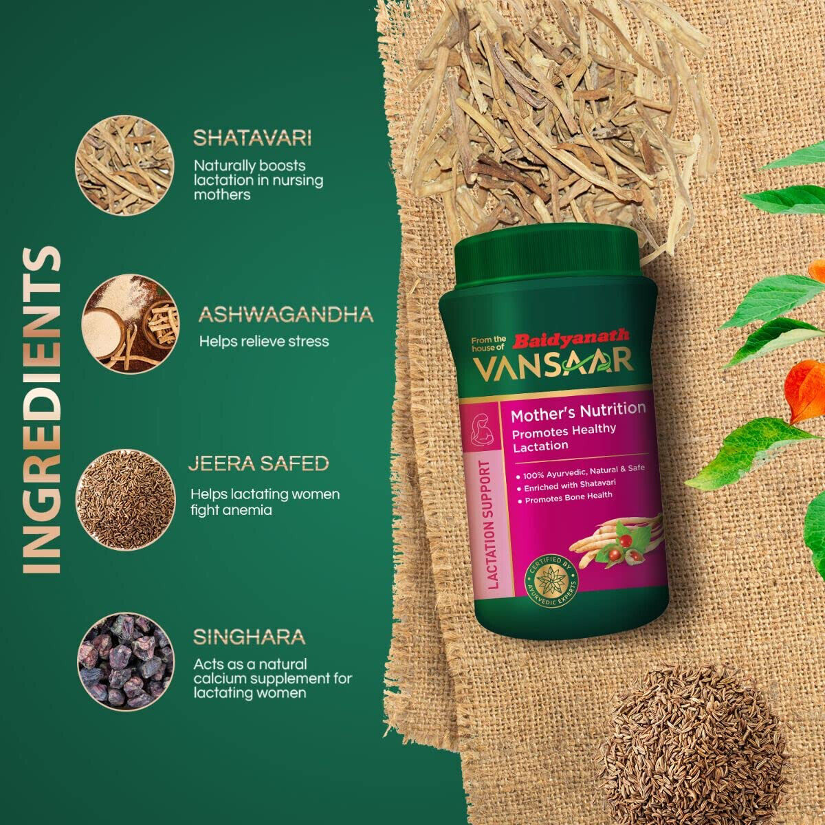 Baidyanath Vansaar Mother's Nutrition Powder 200gm with Free Shipping ...