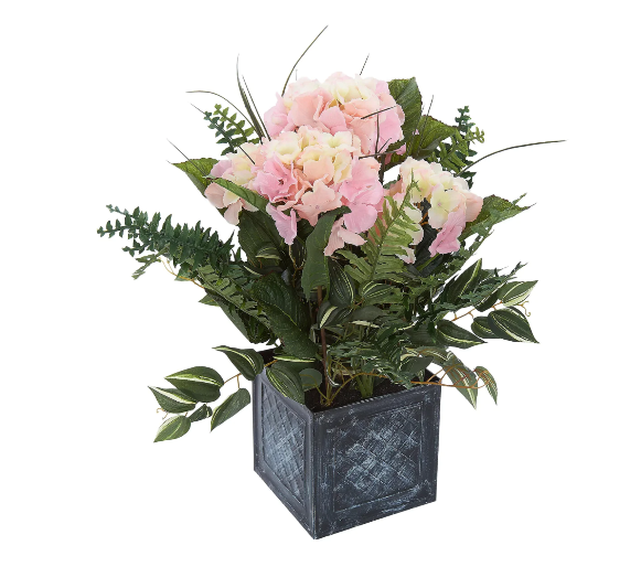 Pink Hydrangea & Fern Watercolor Plant in Metal Pot by Valerie Pink NEW ...