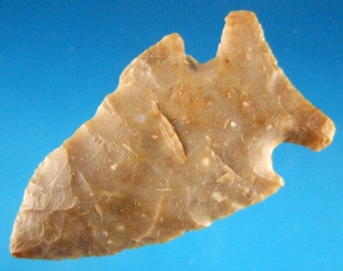 Super Fine Authentic Kentucky Shawnee Springs Pine Tree Point ...