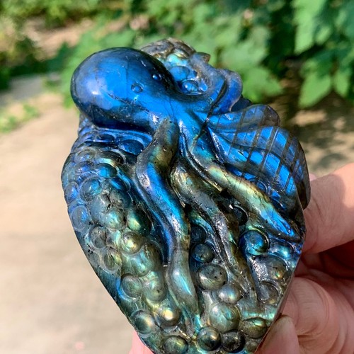 309G Natural and gorgeous elongated raw stone, hand carved octopus | eBay