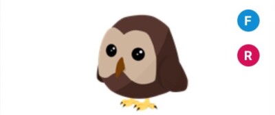 Roblox Adopt Me Owl| Cheap Pet - Fast Delivery - READ DESCRIPTION | eBay