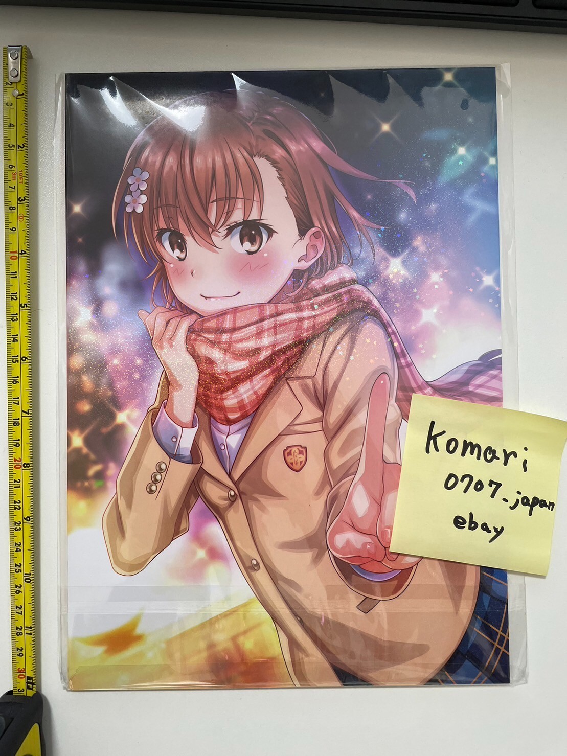 C101 miko book 9 Nora Nee sama A Certain Scientific Railgun Mikasa ...