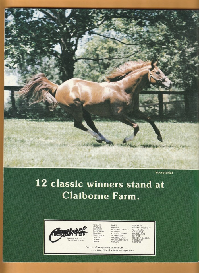 1982 Kentucky Wildcats Cats Pause Yearbook 1st Year Issued Jerry ...