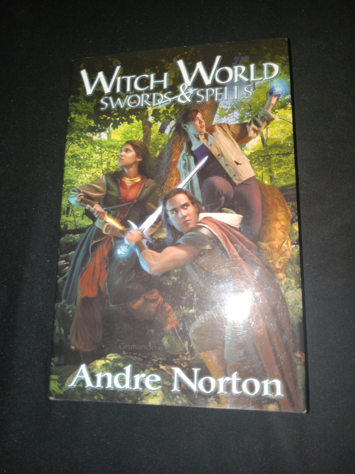 Swords & Spells (Witch World) - Hardcover By Norton, Andre | eBay