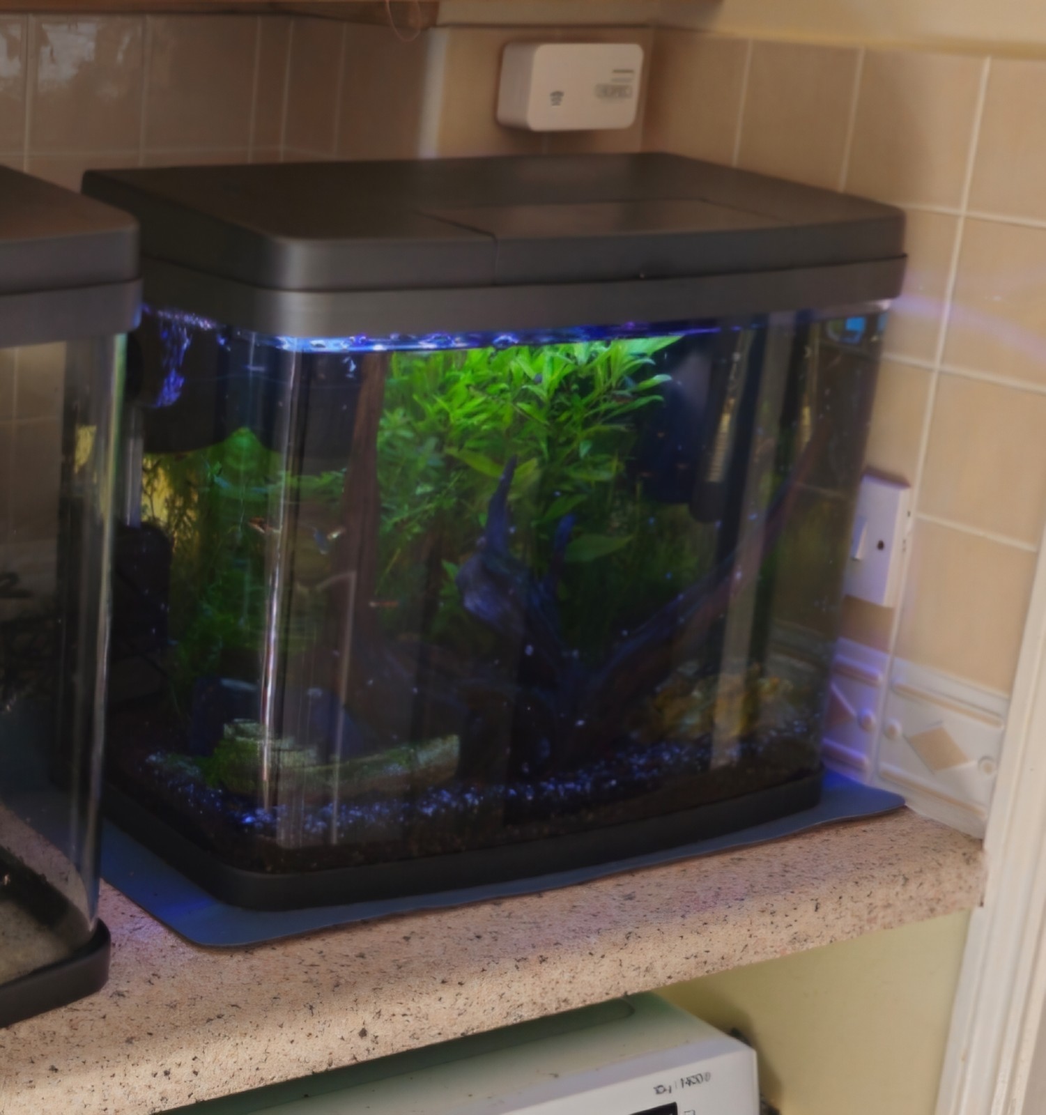 Bowfront Glass Aquarium Tank with Curved Design, Black Hood, LED ...