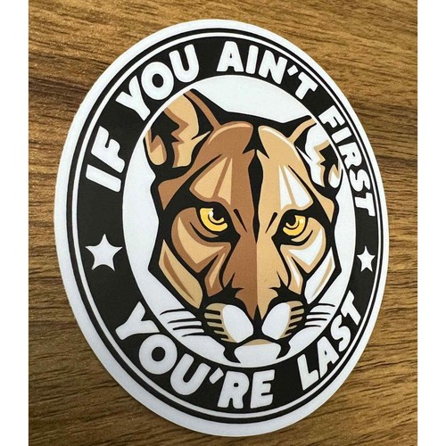 Talladega Nights | Ricky Bobby | Will Ferrell | Vinyl Sticker Decal | eBay