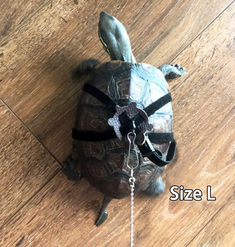 Pet Tortoise Turtle Leather Harness Strap Chest Collar Walking Lead ...