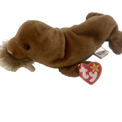 Paul The Walrus Ty Beanie Baby - VINTAGE RARE Retired COLLECTIBLE MINT ...