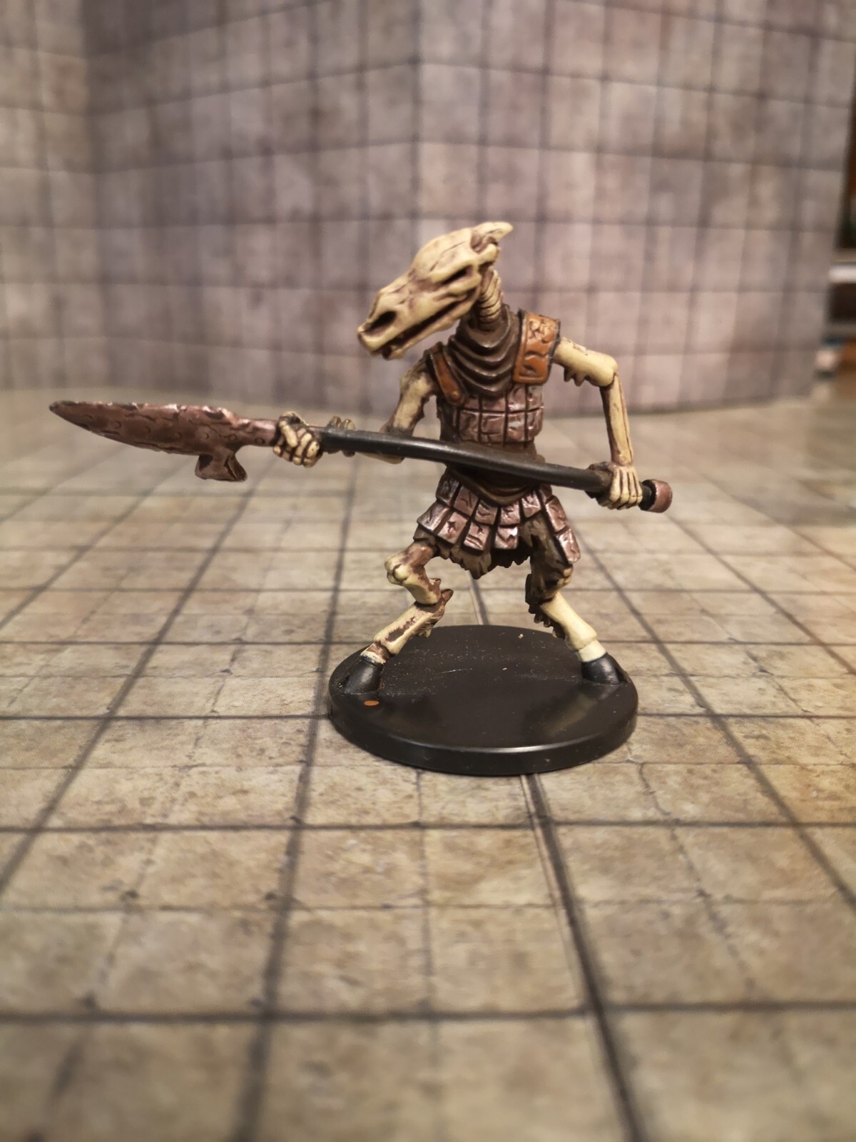 Skeletal Equiceph #39 Underdark D&D Dungeons & Dragons Pathfinder | eBay.de