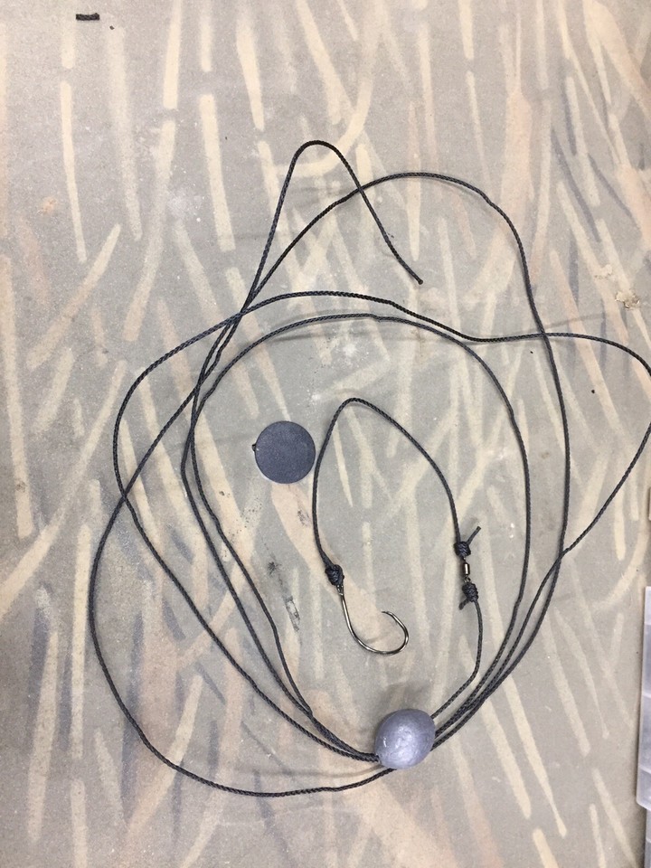 12 Foot Pre Rigged Limb Line / Drop line / Bush Hook / Bank pole Line ...