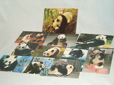 Panda Bear Postcards SET of 10 postcards from FLORIDA SPLENDID CHINA ...
