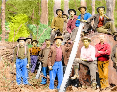 Loggers Lumberjack Redwood Forest Califirnia Mousepad Computer Mouse ...